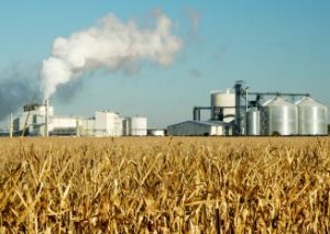 New U.S. Rules Look at Biofuels' Global Impact - Inside Climate News