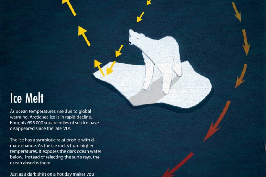 Arctic - Inside Climate News