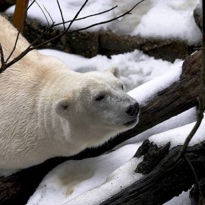 'Medieval Warm Period' Wasn't Global or Even All That Warm, Study Says ...