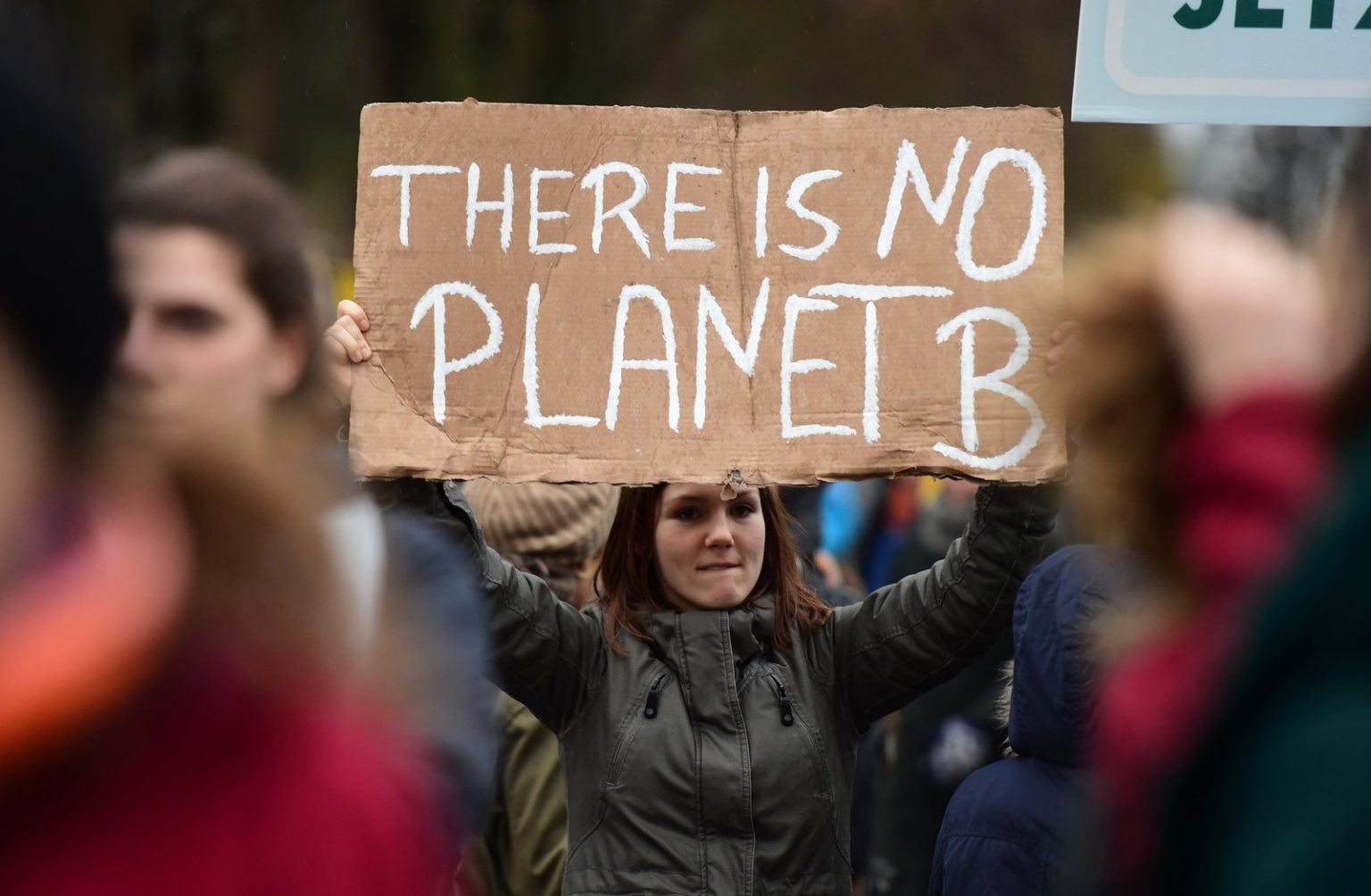 In Trump's World, Environmental Movement Wrestles With Its Future ...