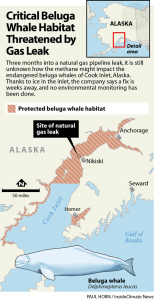 Cook Inlet Gas Leak Remains Unmonitored as Danger to Marine Life Is ...