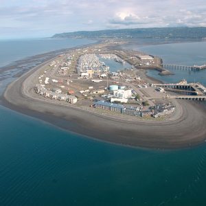 Cook Inlet Gas Leak Remains Unmonitored as Danger to Marine Life Is ...