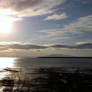 In Alaska's Cook Inlet, Another Apparent Hilcorp Natural Gas Leak ...