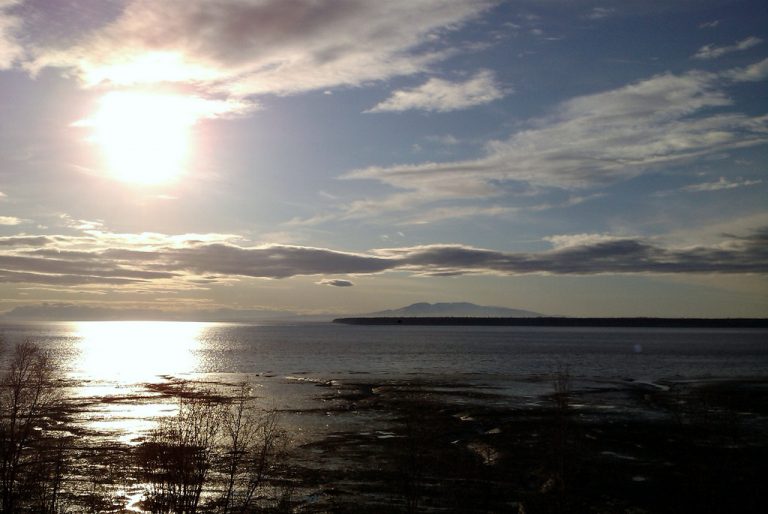 Alaska Oil and Gas Spills Prompt Call for Inspection of All Cook Inlet ...