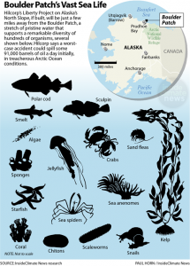 As Hilcorp Plans to Drill in Arctic Waters, a Troubling Trail of ...