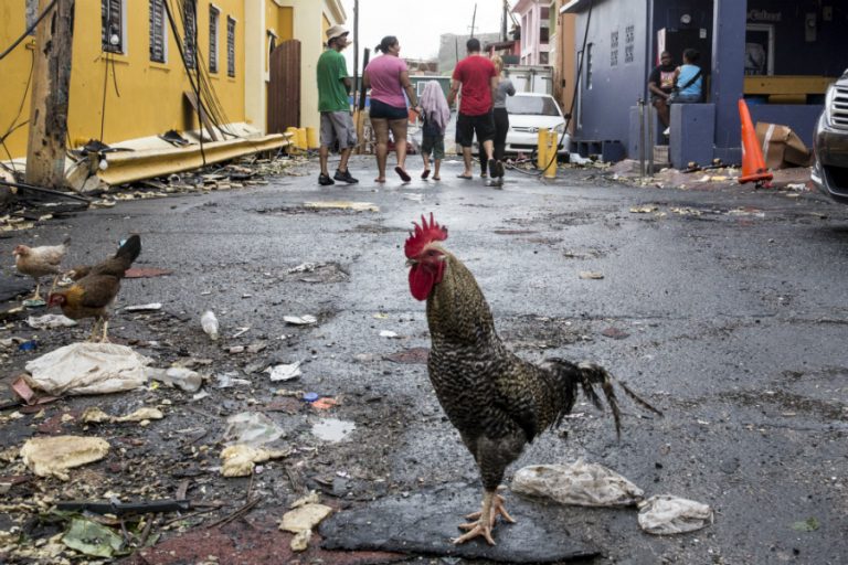 Desperation Grows in Puerto Rico’s Poor Communities Without Water or ...