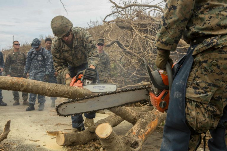 Plan to Burn Hurricane Debris Sparks Health Fears in U.S. Virgin ...