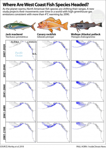 Fish Species Forecast to Migrate Hundreds of Miles Northward as U.S ...