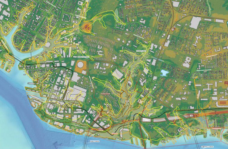 Norfolk Wants to Remake Itself as Sea Level Rises, but Who Will Be Left ...
