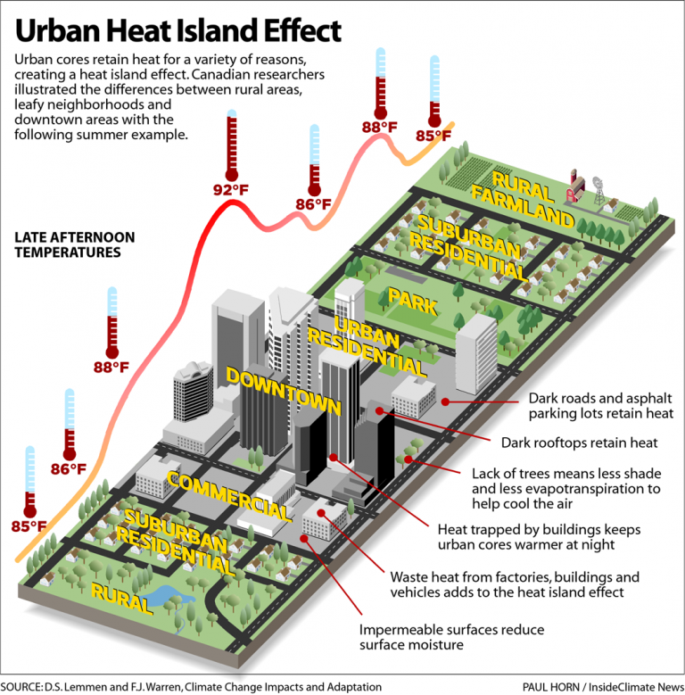 City Centers Are Sweltering. Trees Could Bring Back Some of Their Cool ...