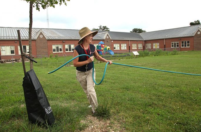 City Centers Are Sweltering. Trees Could Bring Back Some of Their Cool ...