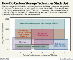 Chart: How Do Carbon Storage Techniques Stack Up? - Inside Climate News