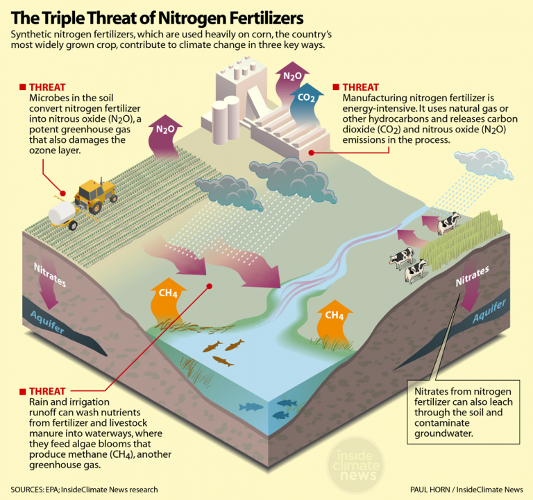 Infographic: The Triple Threat of Nitrogen Fertilizers - Inside Climate ...