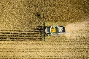 Industrial Agriculture, an Extraction Industry Like Fossil Fuels, a ...