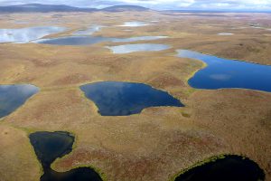 Permafrost Is Warming Around the Globe, Study Shows. That's a Problem ...