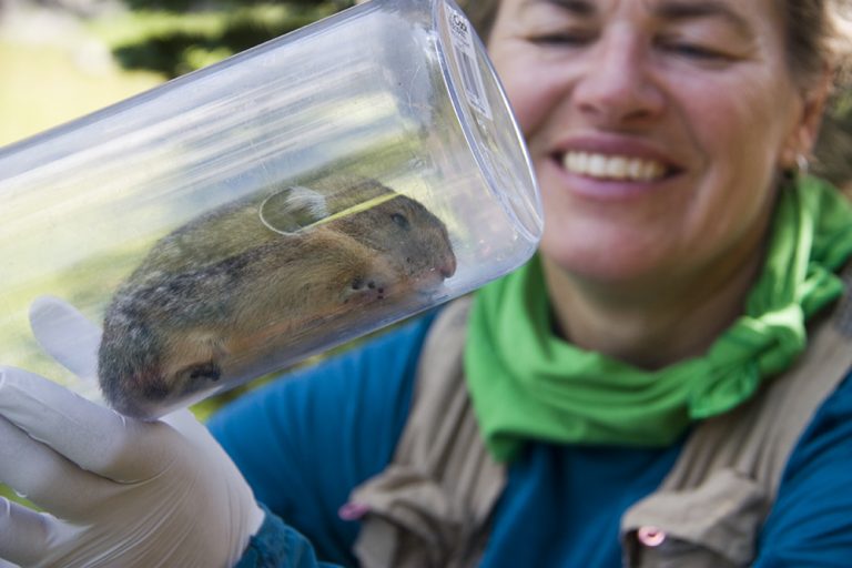 The Impossibly Cute Pika's Survival May Say Something About Our Own ...