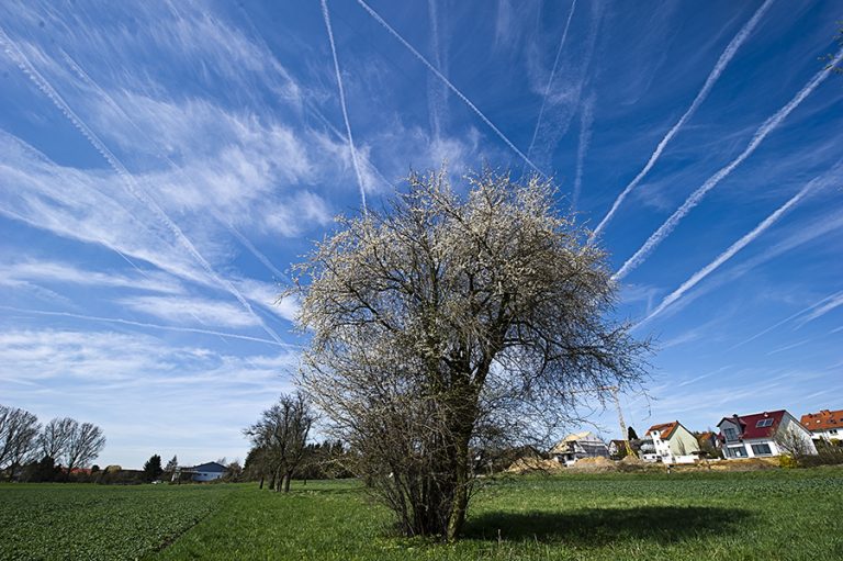 Airplane Contrails' Climate Impact to Triple by 2050, Study Says ...