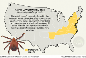 As Ticks Spread, New Disease Risks Threaten People, Pets and Livestock ...