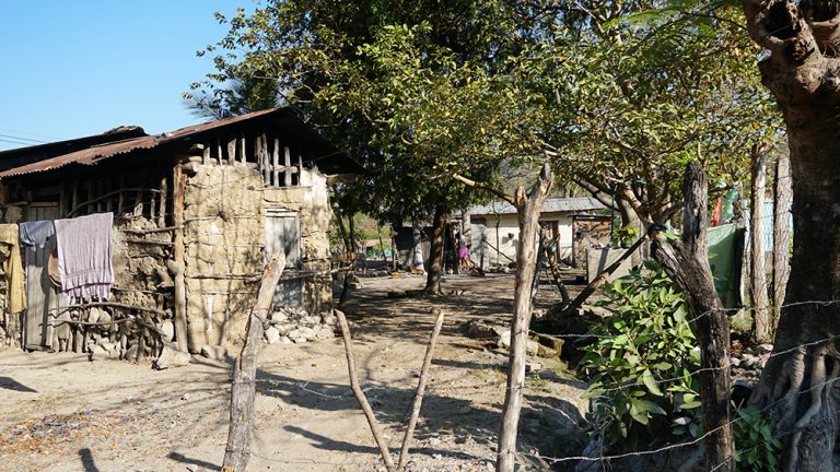 Ravaged by Drought, a Honduran Village Faces a Choice: Pray for Rain or ...