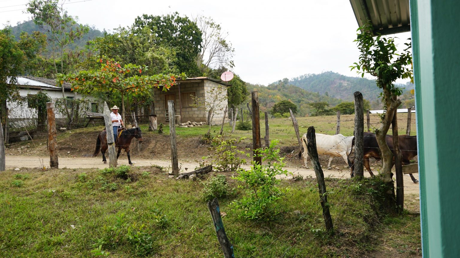 Ravaged by Drought, a Honduran Village Faces a Choice: Pray for Rain or ...