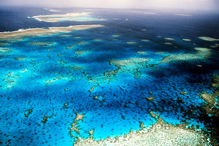 Australia Cuts Outlook for Great Barrier Reef to ‘Very Poor’ for First ...