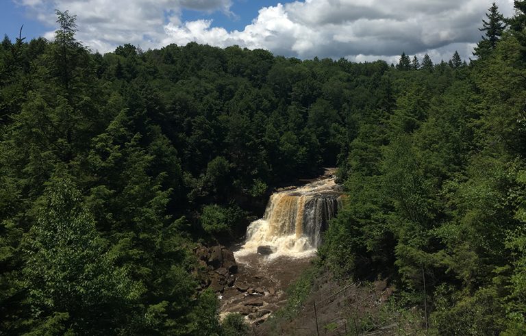 Climate Change Threatens a Giant of West Virginia’s Landscape, and It's ...