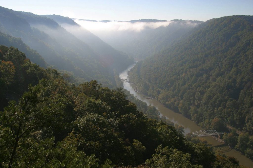 Climate Change Threatens a Giant of West Virginia’s Landscape, and It's ...