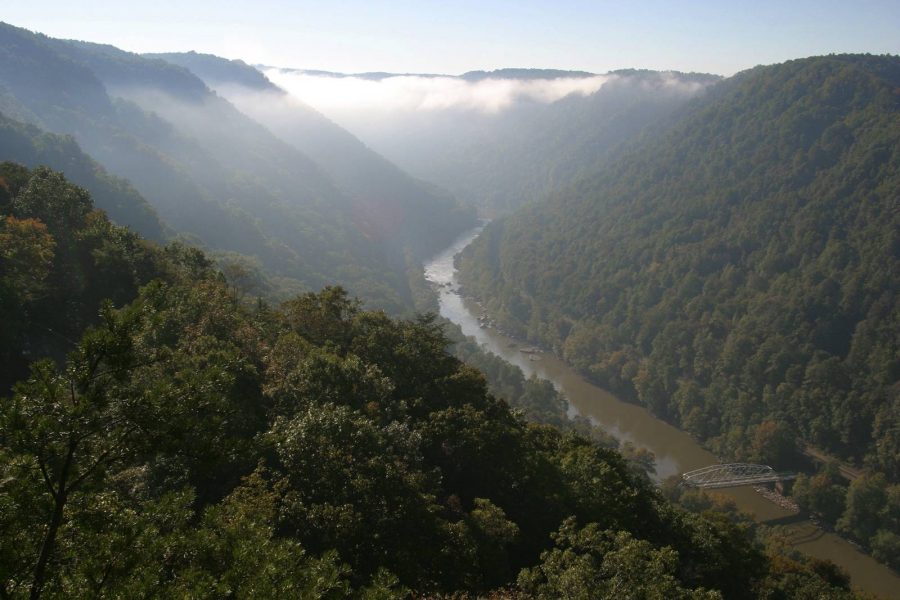 Climate Change Threatens a Giant of West Virginia’s Landscape, and It's ...