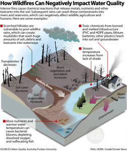 Infographic: How Wildfires Can Negatively Affect Water Quality - Inside ...