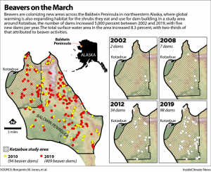Infographic: Beavers on the March - Inside Climate News