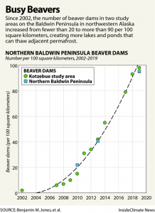 Chart: Busy Beavers - Inside Climate News