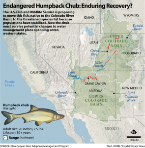 Map: Endangered Humpback Chub: Enduring Recovery? - Inside Climate News