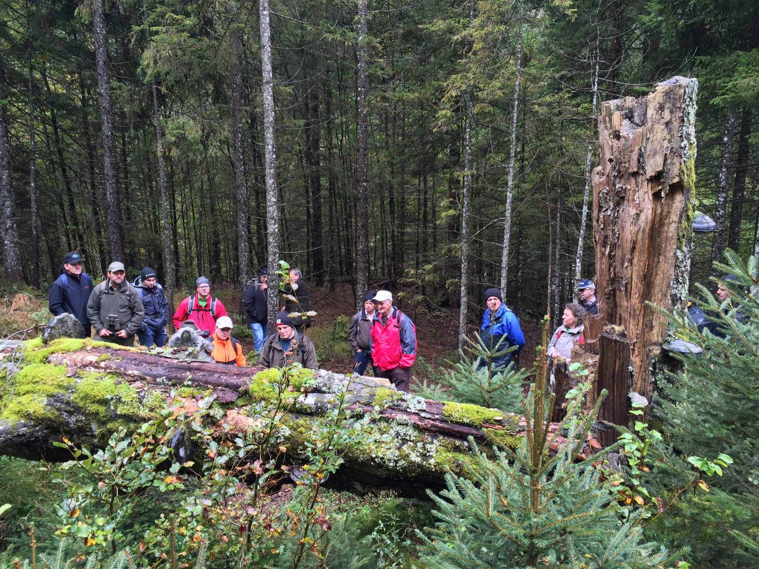 Targeted Ecosystem Restoration Can Protect Climate, Biodiversity ...