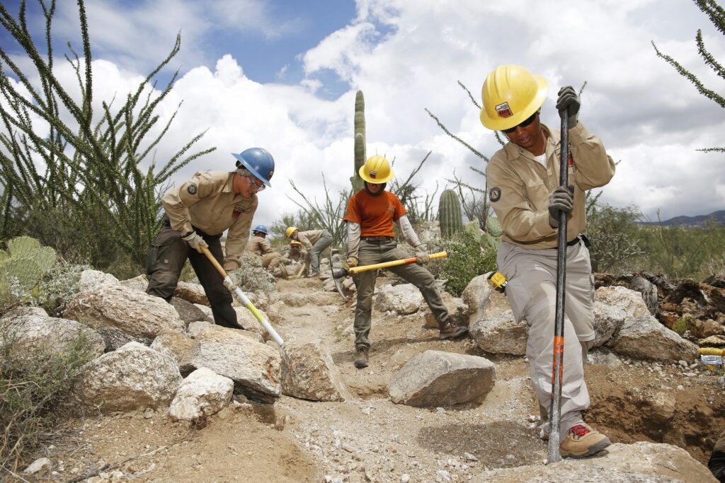 A New Program Like FDR’s Civilian Conservation Corps Could Help the ...