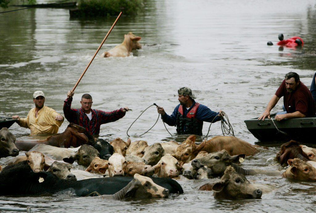 As Extreme Weather Batters America’s Farm Country, Costing Billions ...