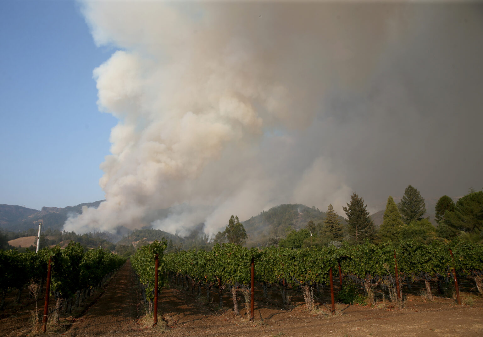 Wildfire Smoke: An Emerging Threat to West Coast Wines - Inside Climate ...