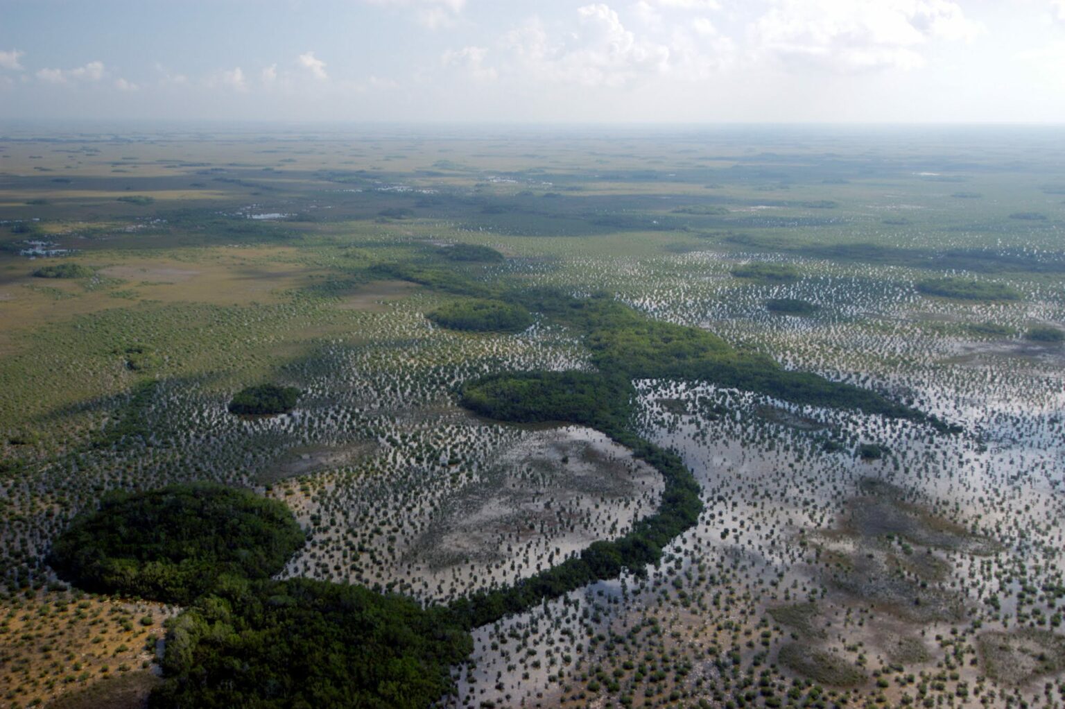 Moving Water in the Everglades Sends a Cascade of Consequences, Some ...