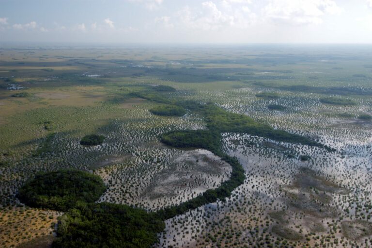 Moving Water in the Everglades Sends a Cascade of Consequences, Some ...
