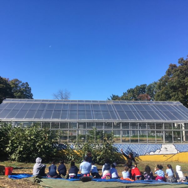 Long Concerned About Air Pollution, Baltimore Experienced Elevated ...