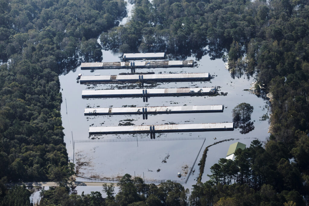 Video: Aerial Detectives Dive Deep Into North Carolina’s Hog and ...