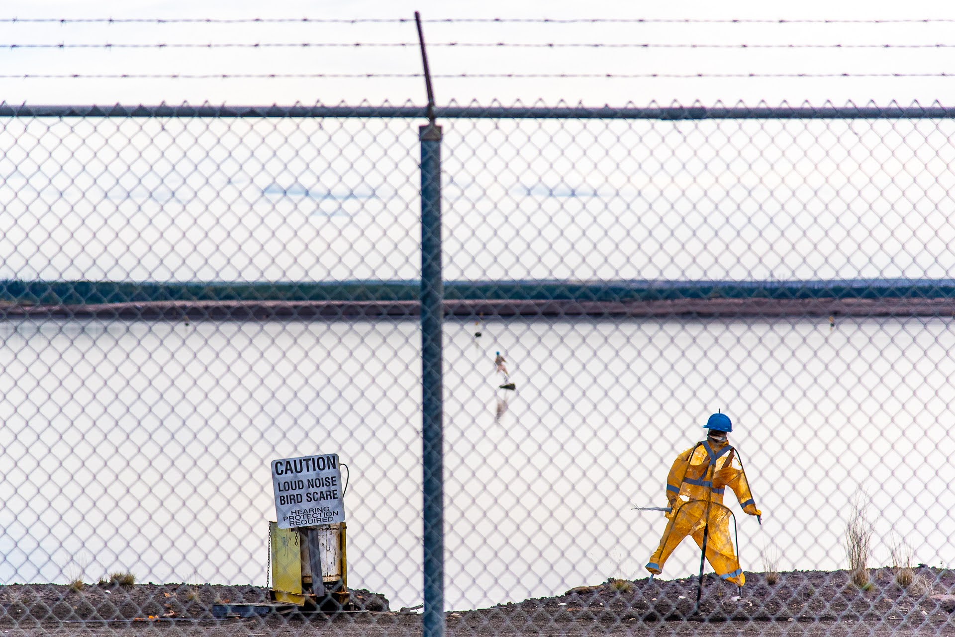 Canada’s Tar Sands: Destruction So Vast and Deep It Challenges the ...