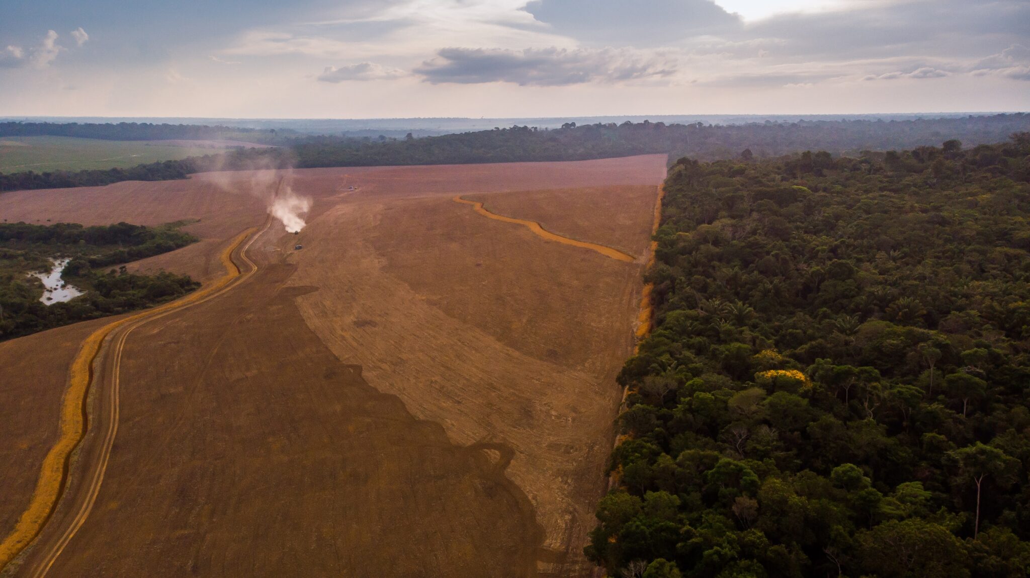 The Amazon is the Planet's Counterweight to Global Warming, a Place of ...