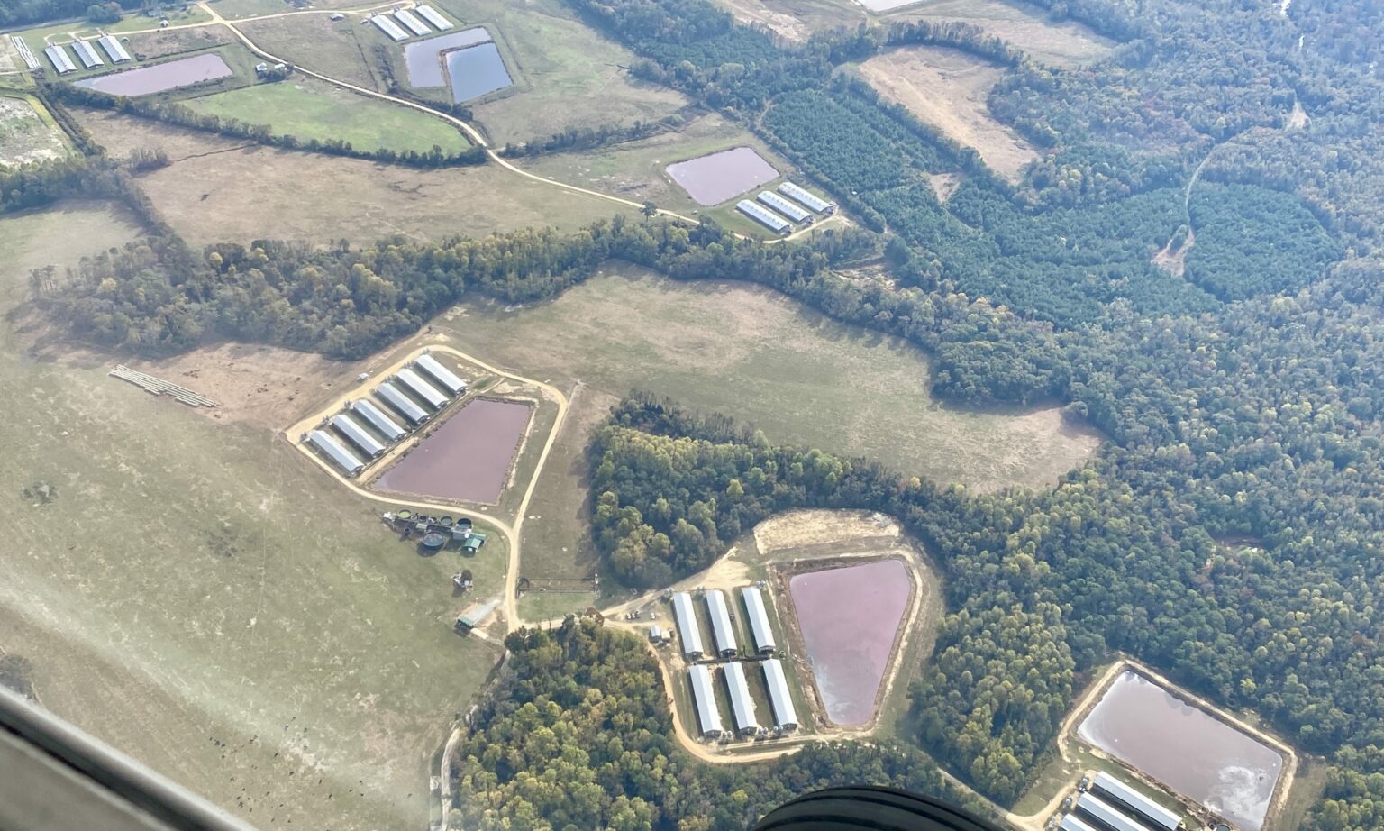 NC Producers Not Even Close On Biogas From Hog CAFOs; Water/Air ...