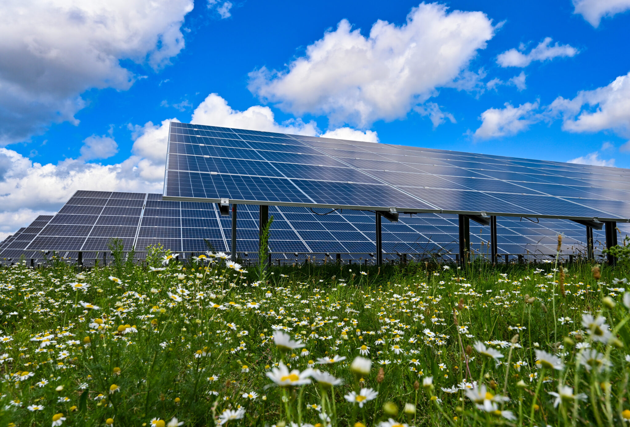 Inside Clean Energy: As Efficiency Rises, Solar Power Needs Fewer Acres ...