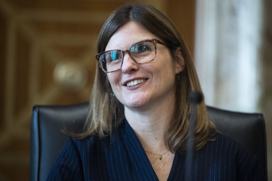 New Faces on a Vital National Commission Could Help Speed a Clean ...