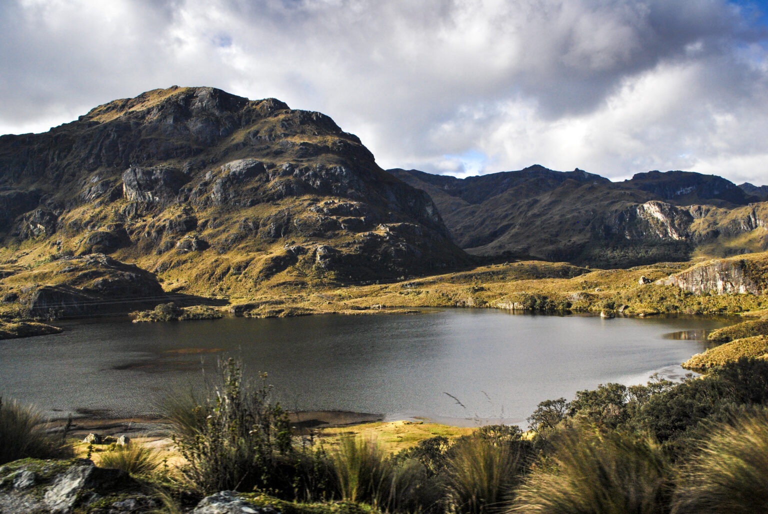 Can Rights of Nature Laws Make a Difference? In Ecuador, They Already ...