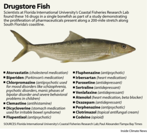 Fish on Valium: A Multitude of Prescription Drugs Are Contaminating ...