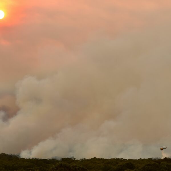 Deadly ‘Smoke Waves’ From Wildfires Set to Soar - Inside Climate News