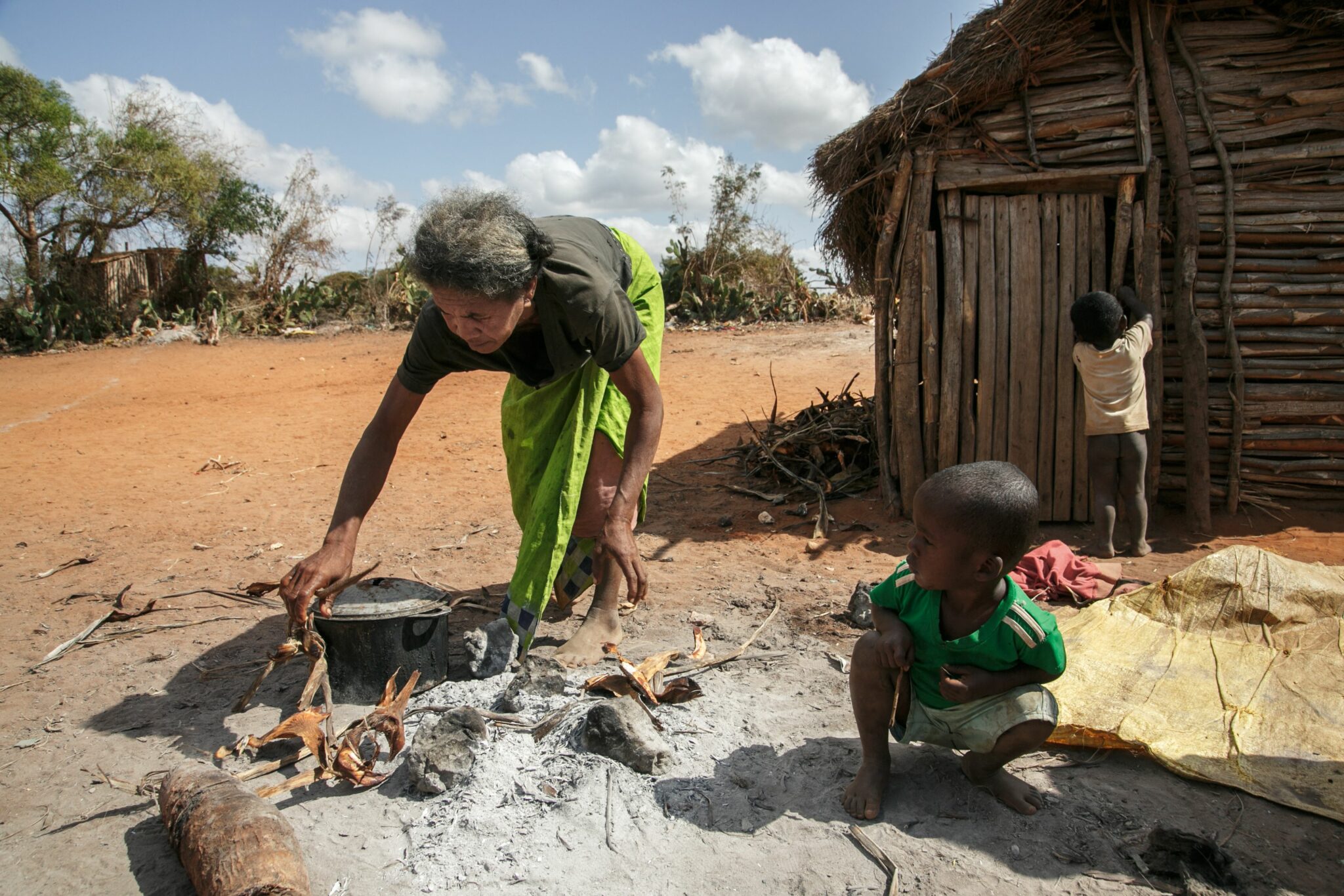 Complex Models Now Gauge the Impact of Climate Change on Global Food ...