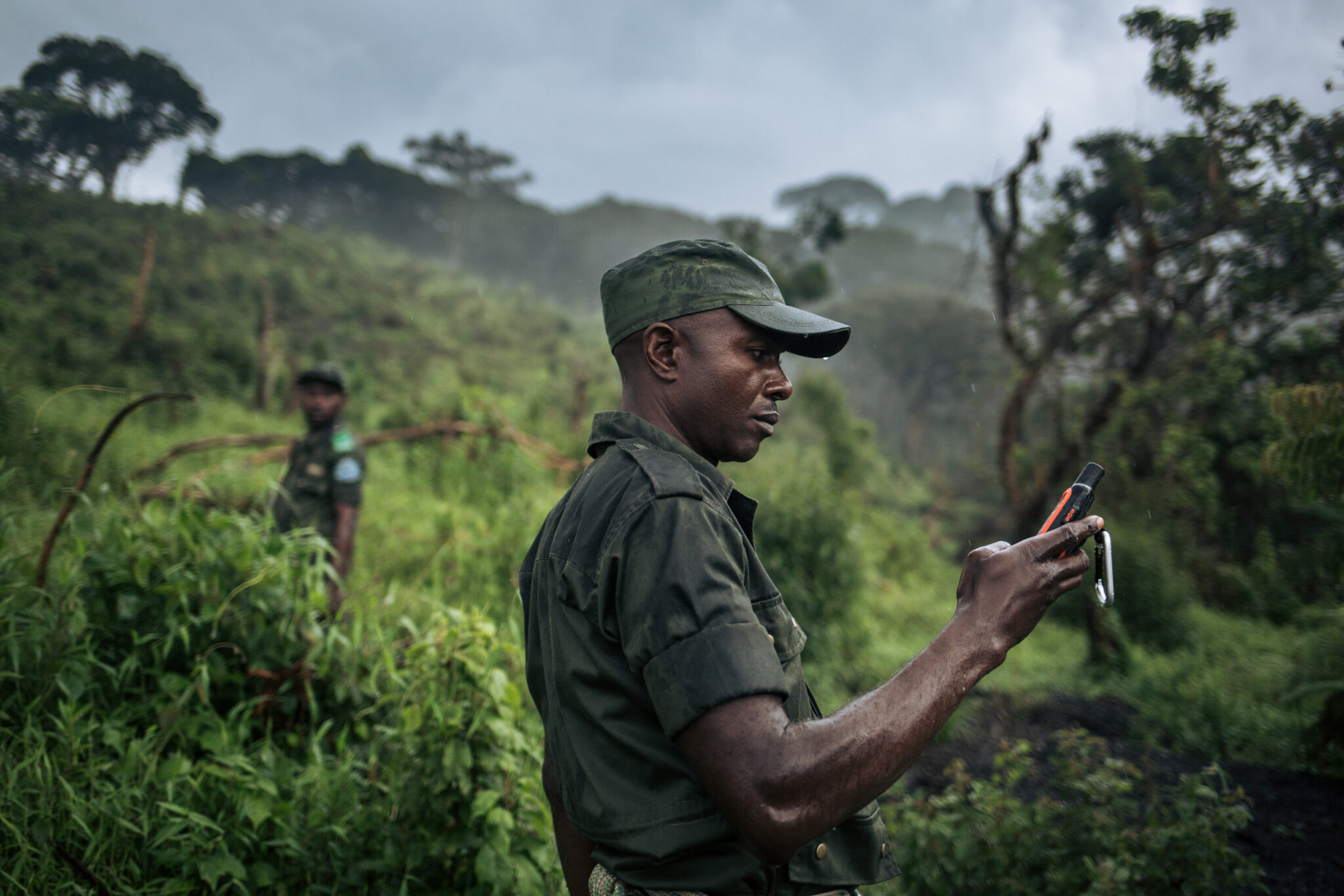 In the Democratic Republic of Congo, the Unintended Consequences of ...